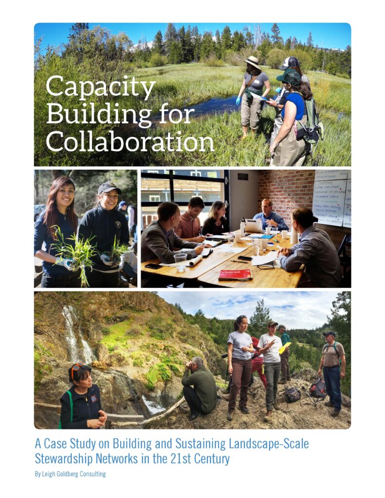 Capacity Building for Collaboration Case Study (2018) - Partnership and Community Collaboration ...