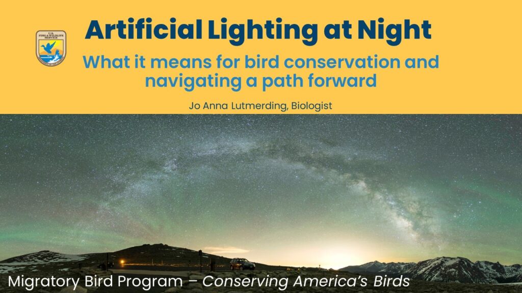 Artificial Lighting at Night: What it means for bird conservation and ...