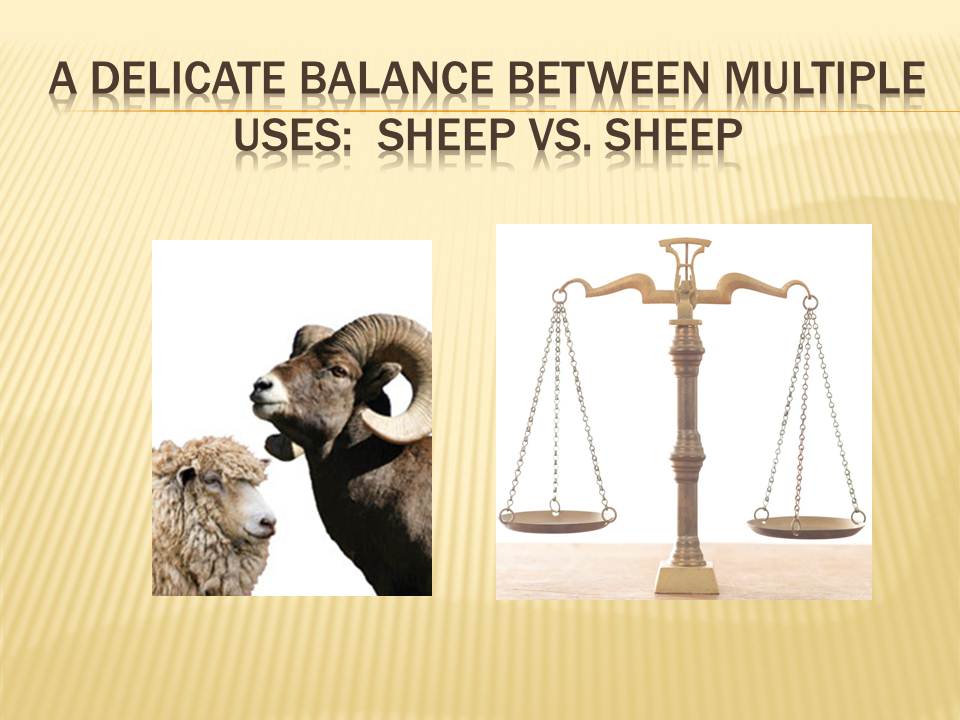 A Delicate Balance Between Multiple Uses: Sheep vs. Sheep - Partnership ...