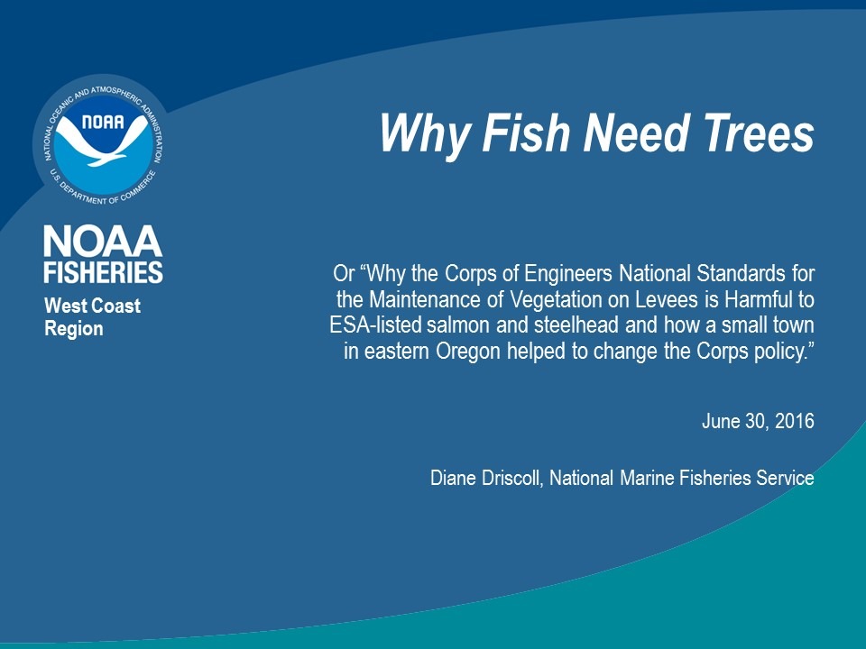 Why Fish Need Trees - Partnership and Community Collaboration Academy