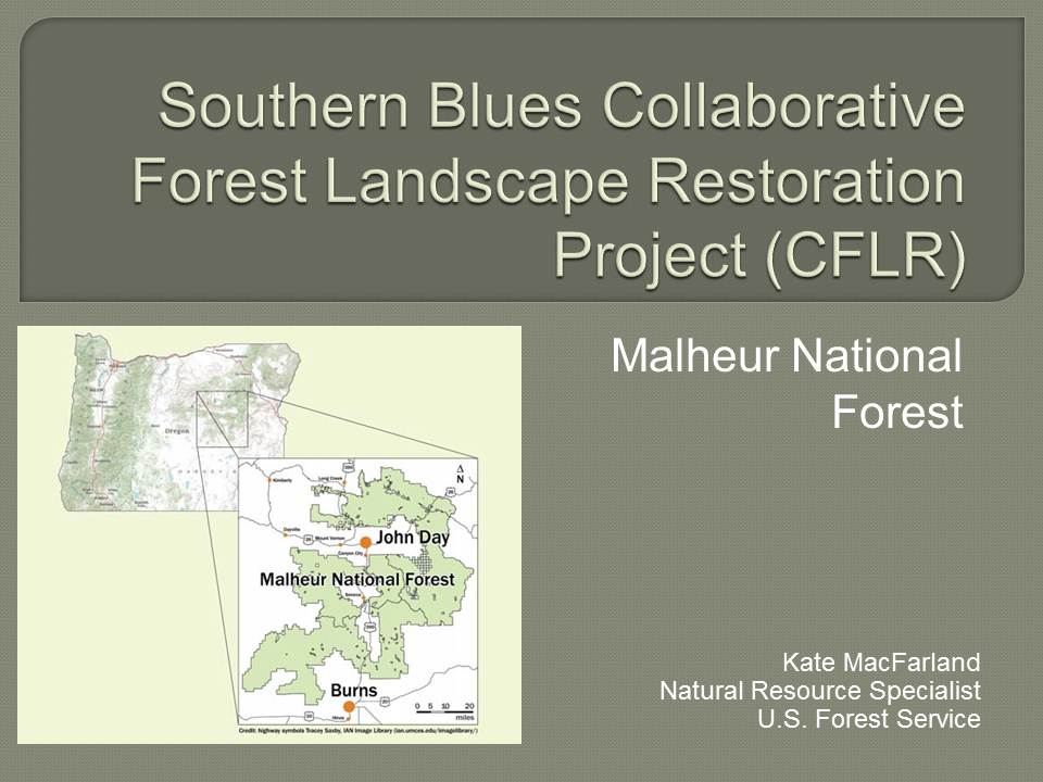 Southern Blues Collaborative Forest Landscape Restoration Project (CFLR ...