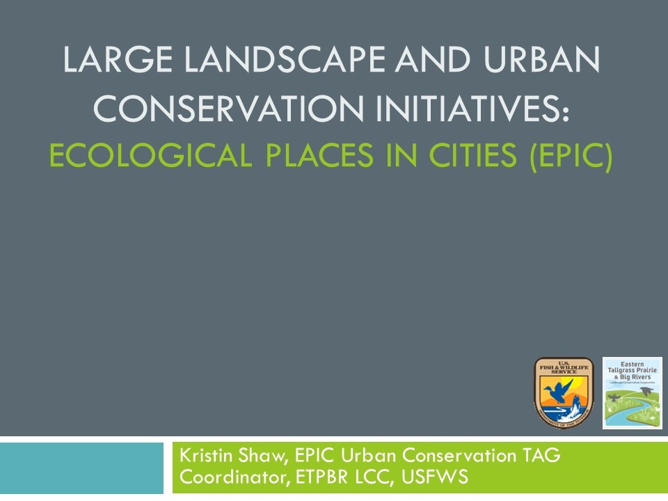 Large Landscape and Urban Conservation Initiatives: Ecological Places ...