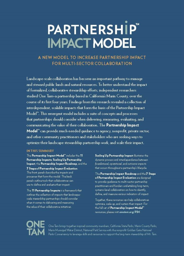 Partnership Impact Model Executive Summary - Partnership and Community ...