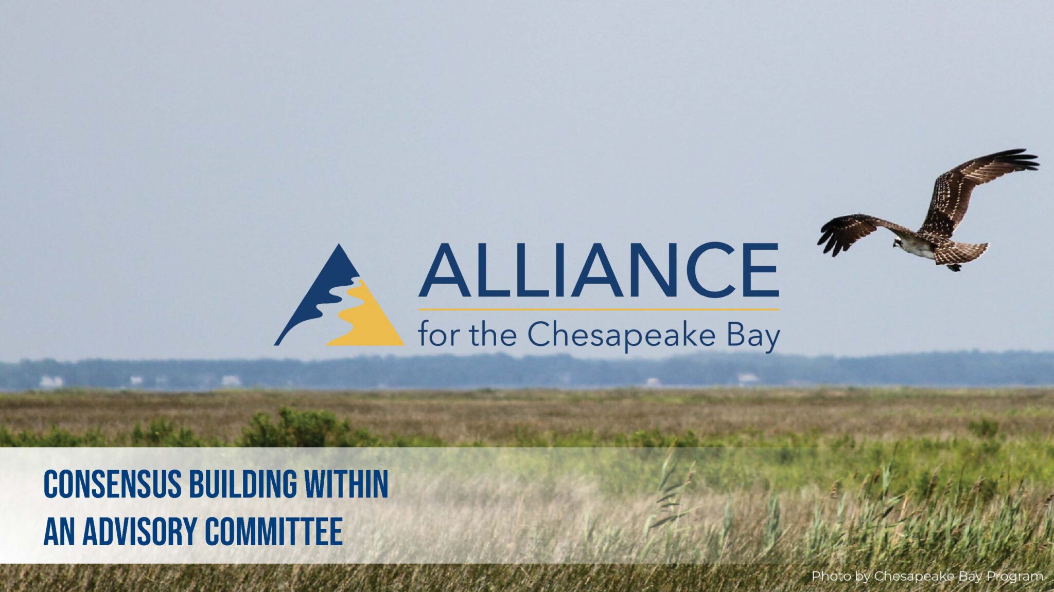 Building Consensus in the Chesapeake Bay - Partnership and Community Collaboration Academy