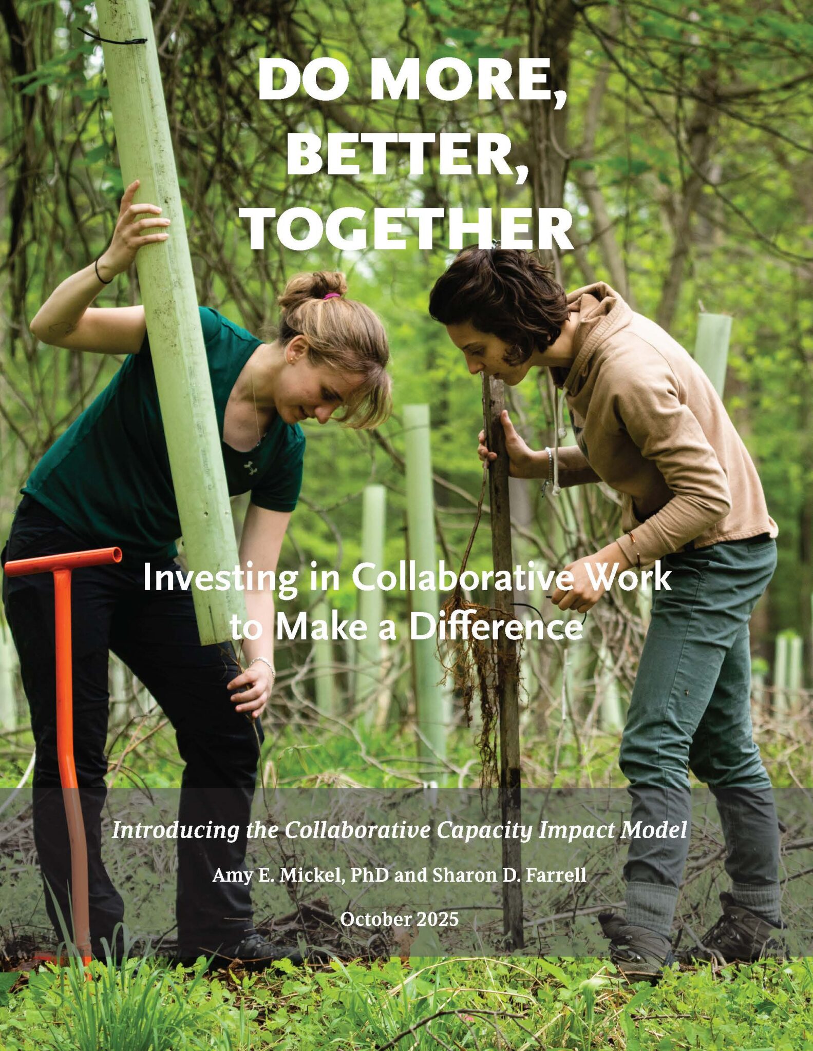 Do more, better, together: Investing in collaborative work to make a ...