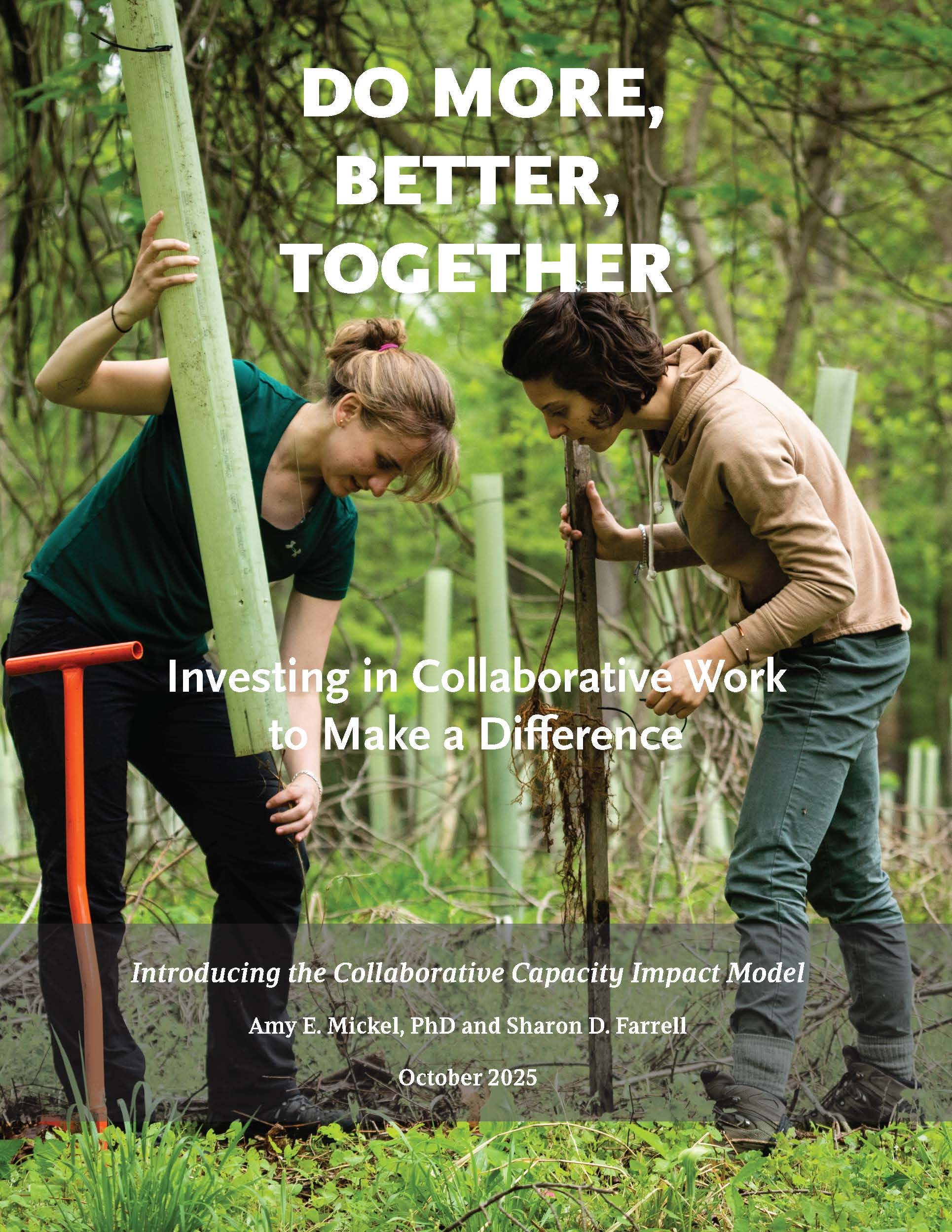 Do more, better, together: Investing in collaborative work to make a ...